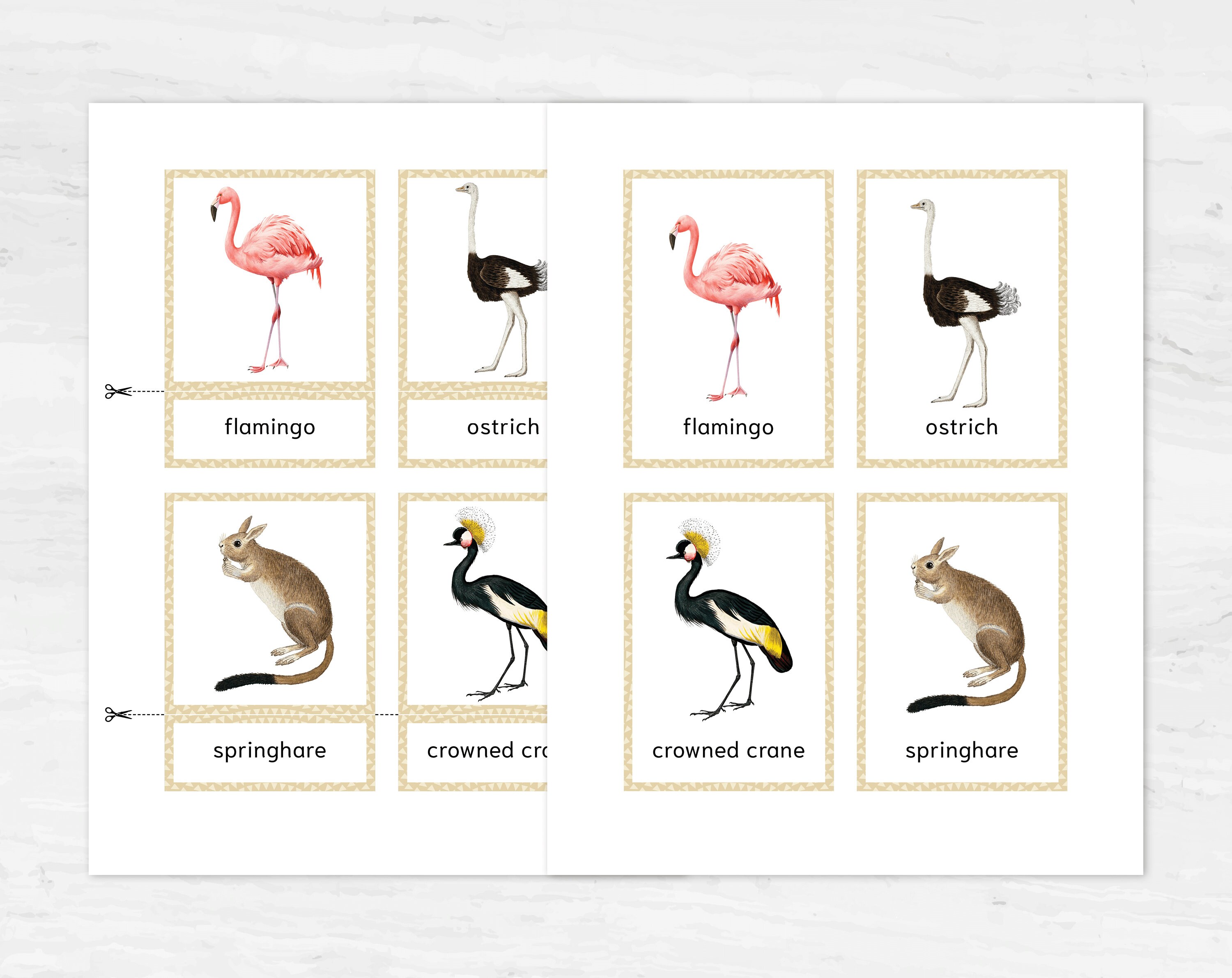 Montessori Animal Flashcards Bundle - Nomenclature Learning Set ...