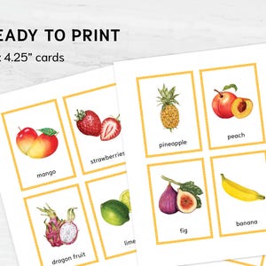 Watercolor Fruit Flashcards - Montessori Vibrant Learning Set ...