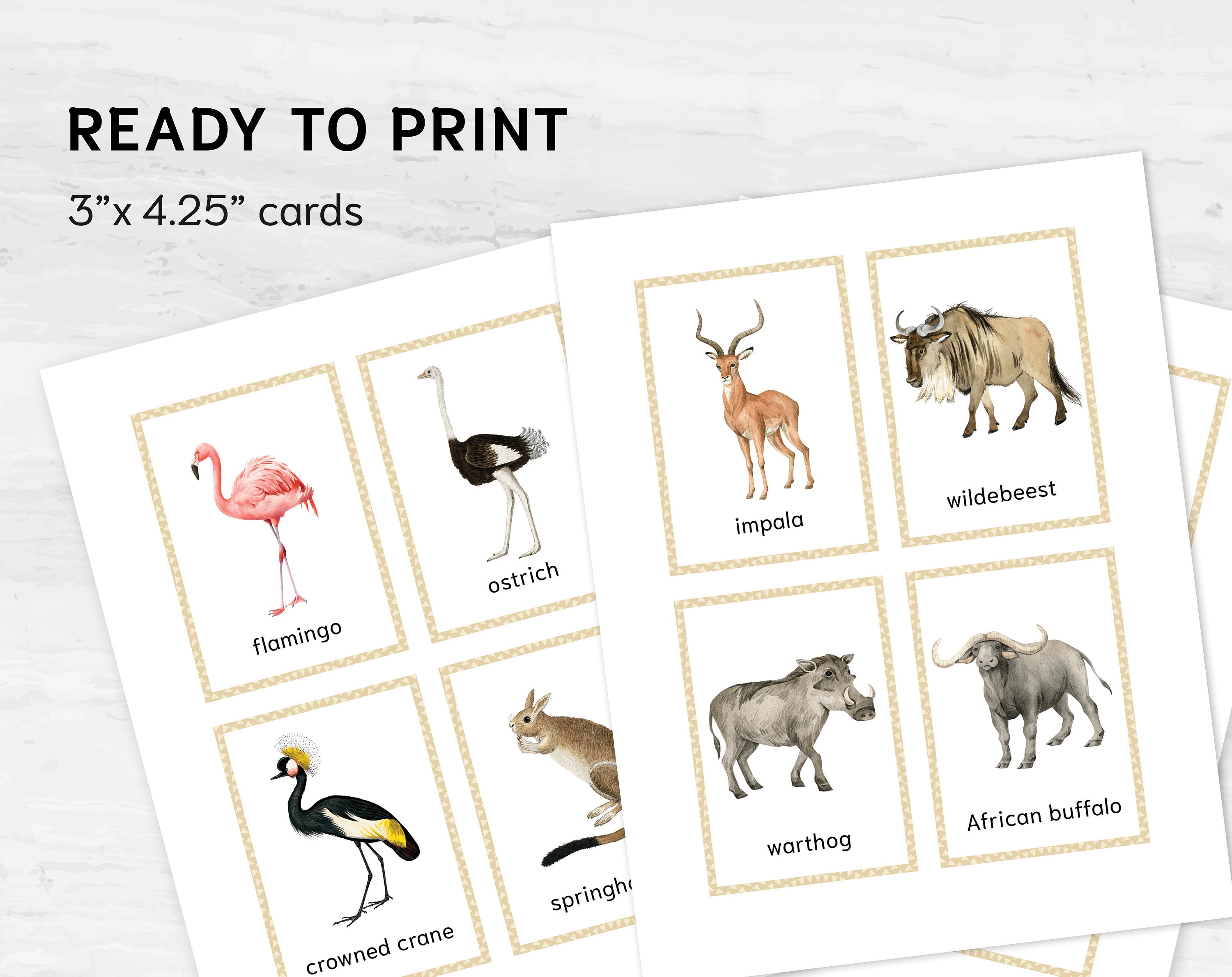 Colorful Australian Animals Flashcards for Montessori Education ...