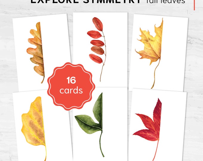 Autumn Leaf Symmetry Drawing Challenge for Kids. Fall Leaves Activity ...
