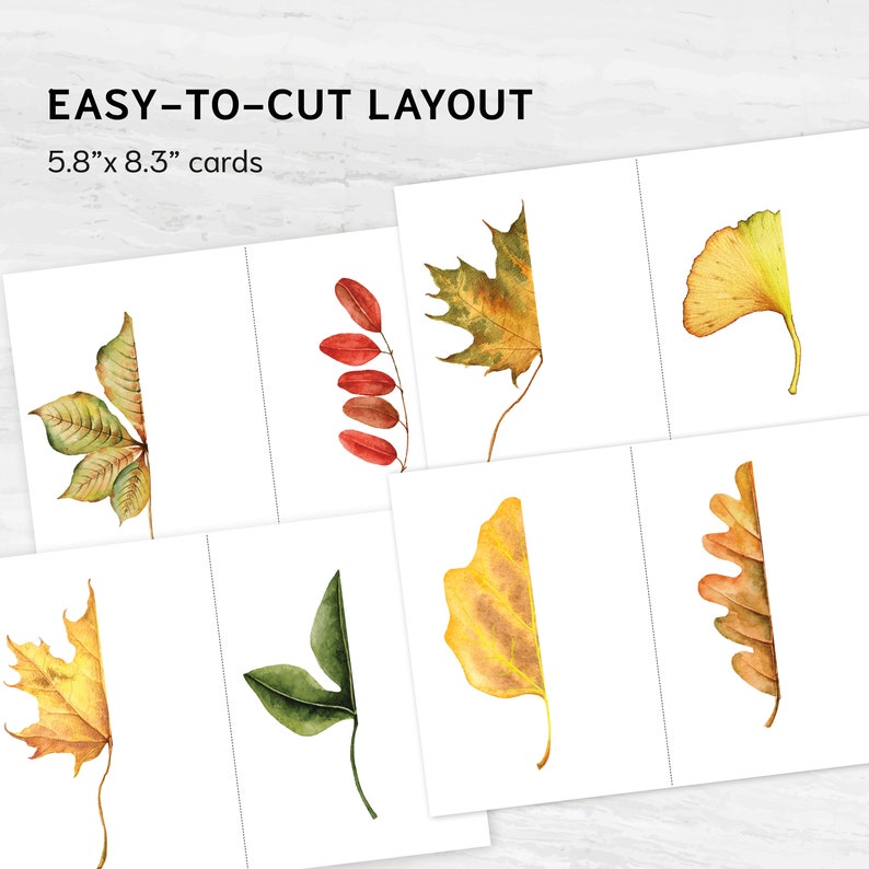 Autumn Leaf Symmetry Drawing Challenge for Kids. Fall Leaves Activity ...