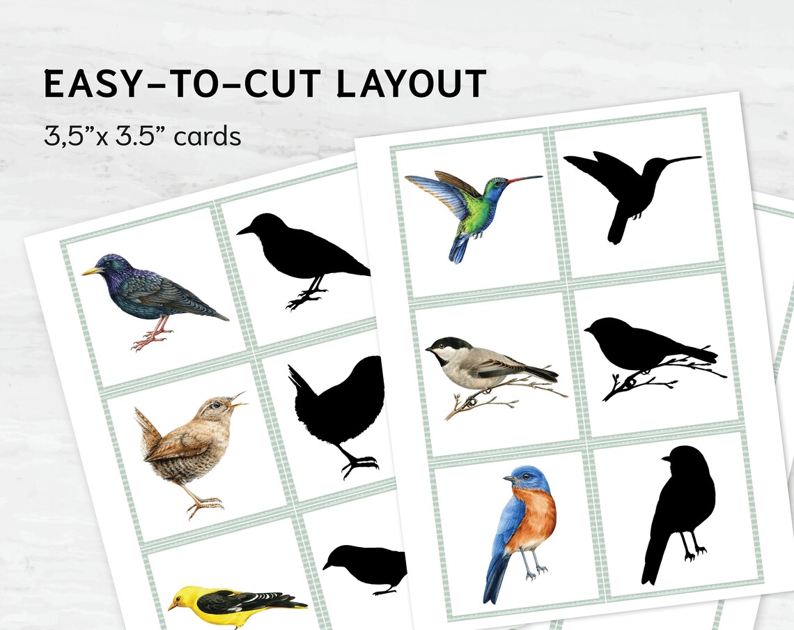Bird Shadow Matching Cards. Montessori Educational Materials. Printable ...