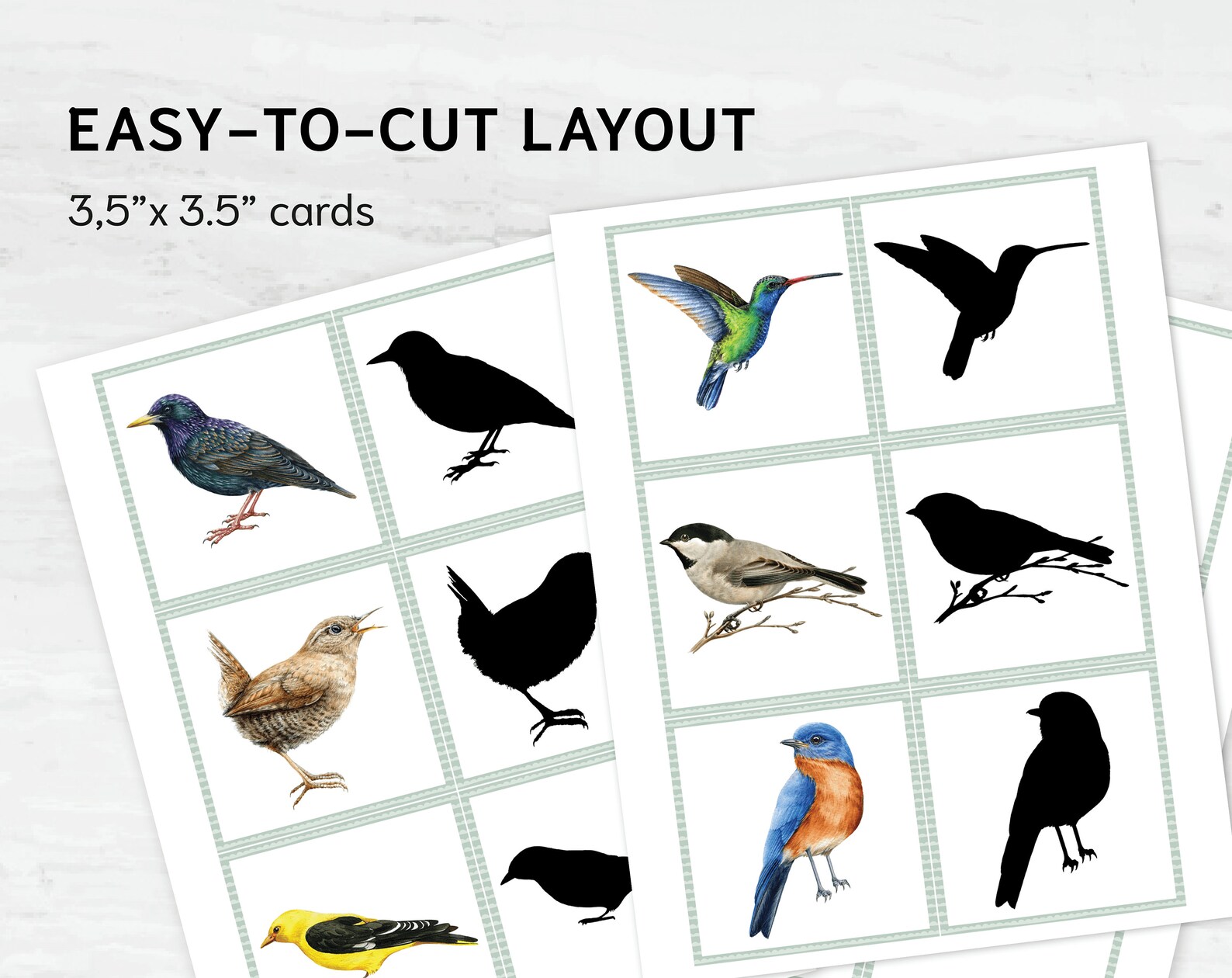 Bird Shadow Matching Cards. Montessori Educational Materials. Printable ...