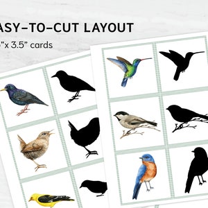 Bird Shadow Matching Cards. Montessori Educational Materials. Printable ...