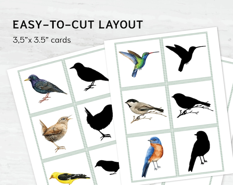Bird Shadow Matching Cards. Montessori Educational Materials. Printable ...