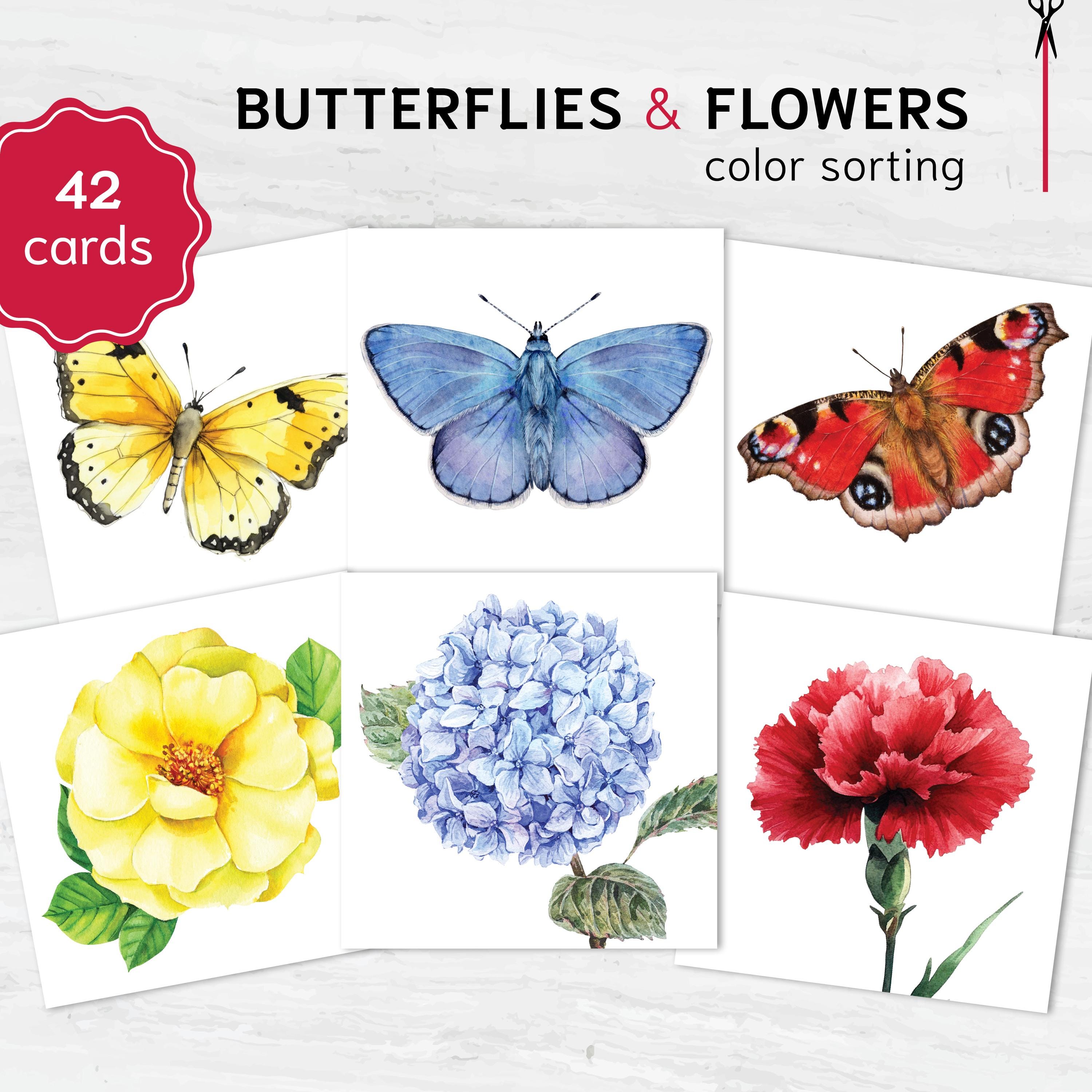 Color Matching Game: Butterflies & Flowers Printable Color Sorting ...