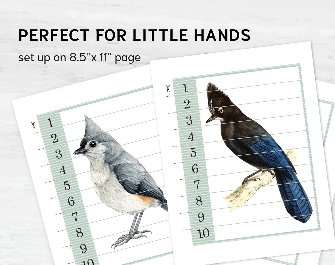 Birds Printable Puzzle. Number Sequence 1-10. Montessori Preschool Math ...