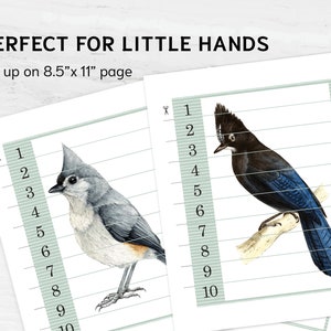 Birds Printable Puzzle. Number Sequence 1-10. Montessori Preschool Math ...