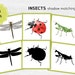 Insects Shadow Matching Cards. Montessori-based Bugs Learning Activity ...
