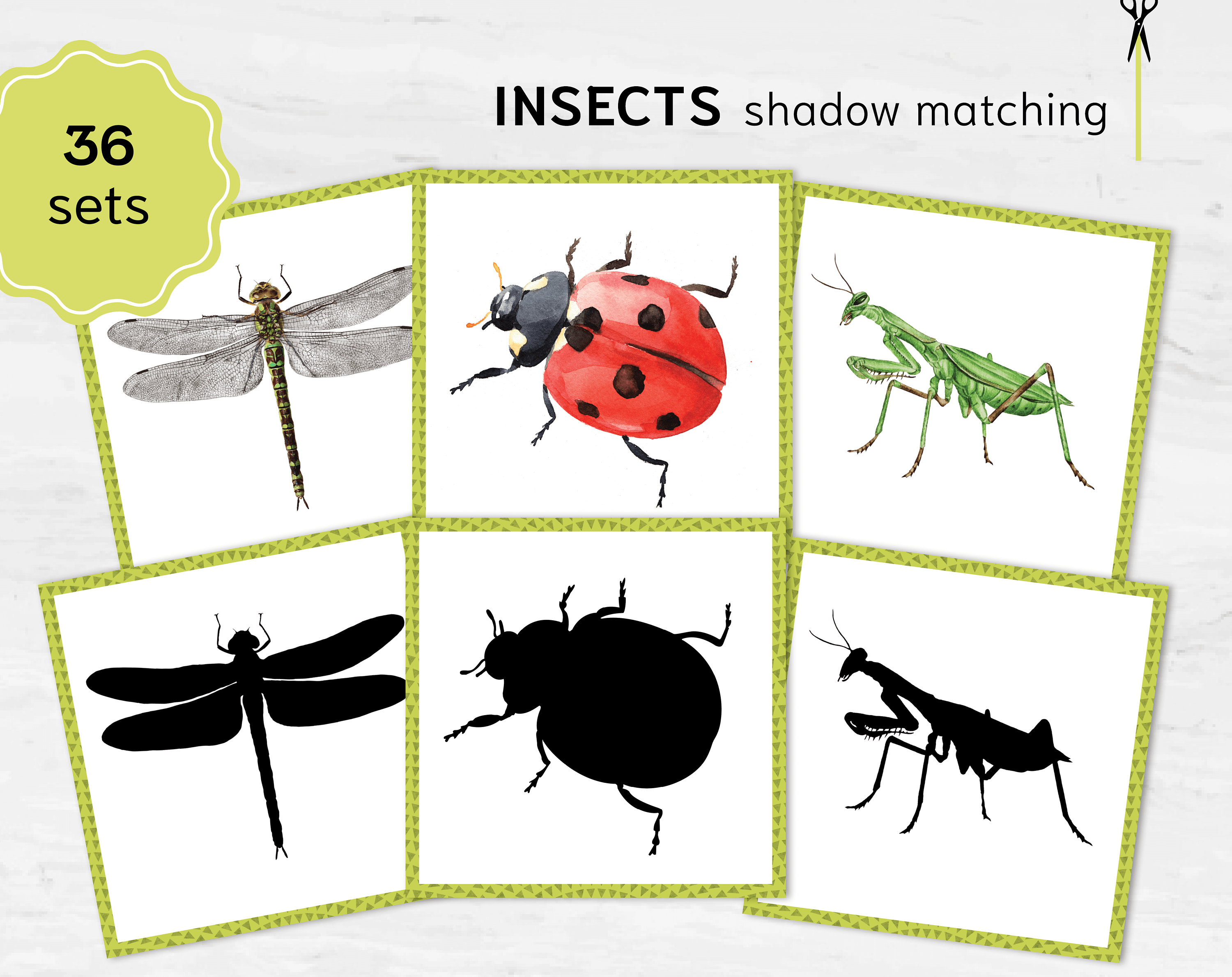 Insects Shadow Matching Cards. Montessori-based Bugs Learning Activity ...