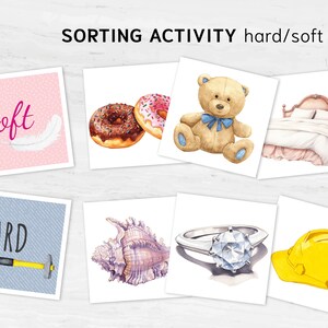Explore Opposites Sorting Activity: Hot-or-cold Montessori-styled Logic ...