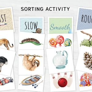 Explore Opposites Sorting Activity: Fast-or-slow Montessori-styled ...