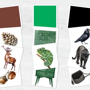 Montessori Color Sorting Printable Cards: Toddler's 12-color ...