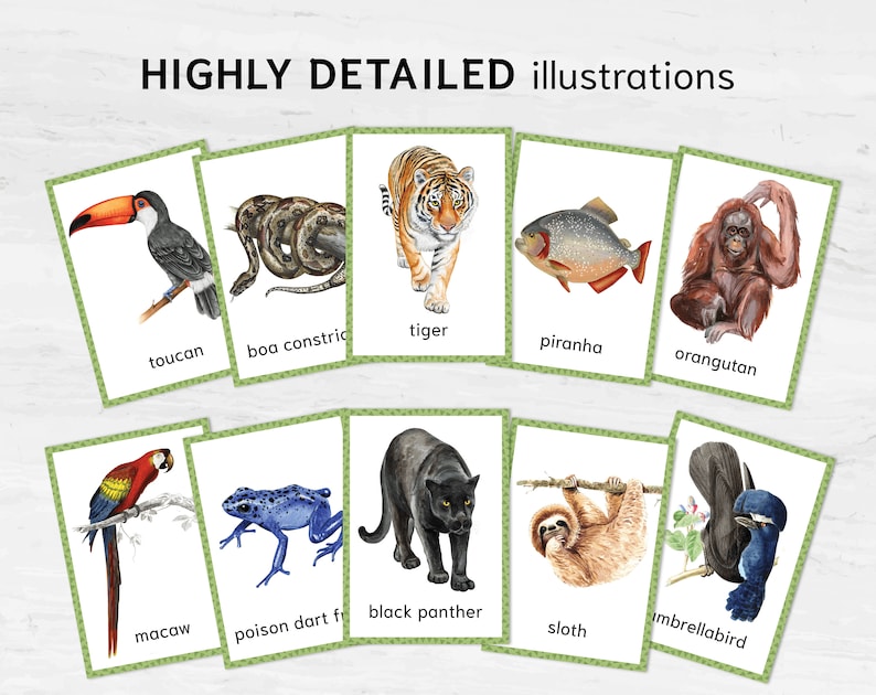 JUNGLE Animals Printable Flashcards. Montessori Homeschool Supplies ...