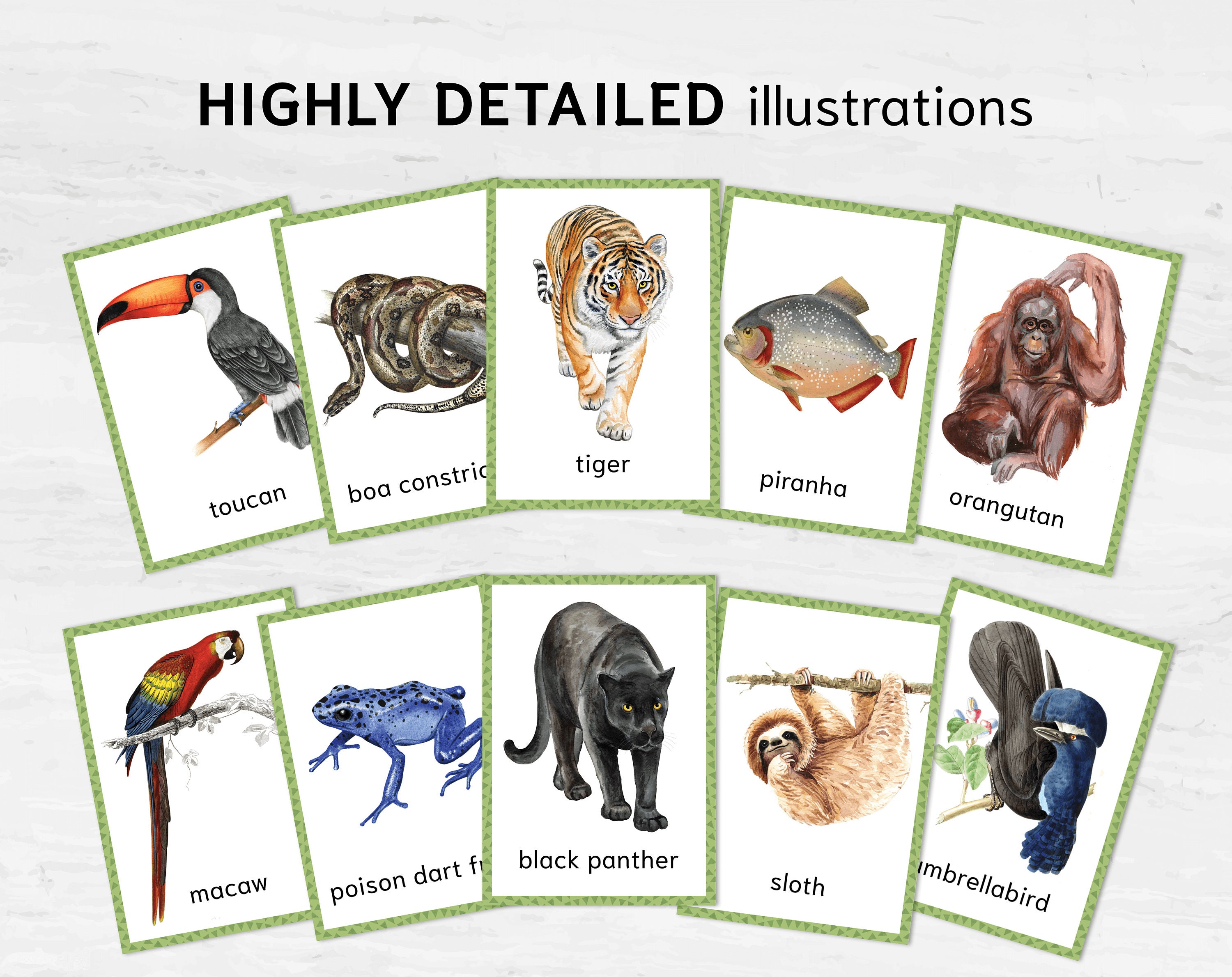 JUNGLE Animals Printable Flashcards. Montessori Homeschool Supplies ...
