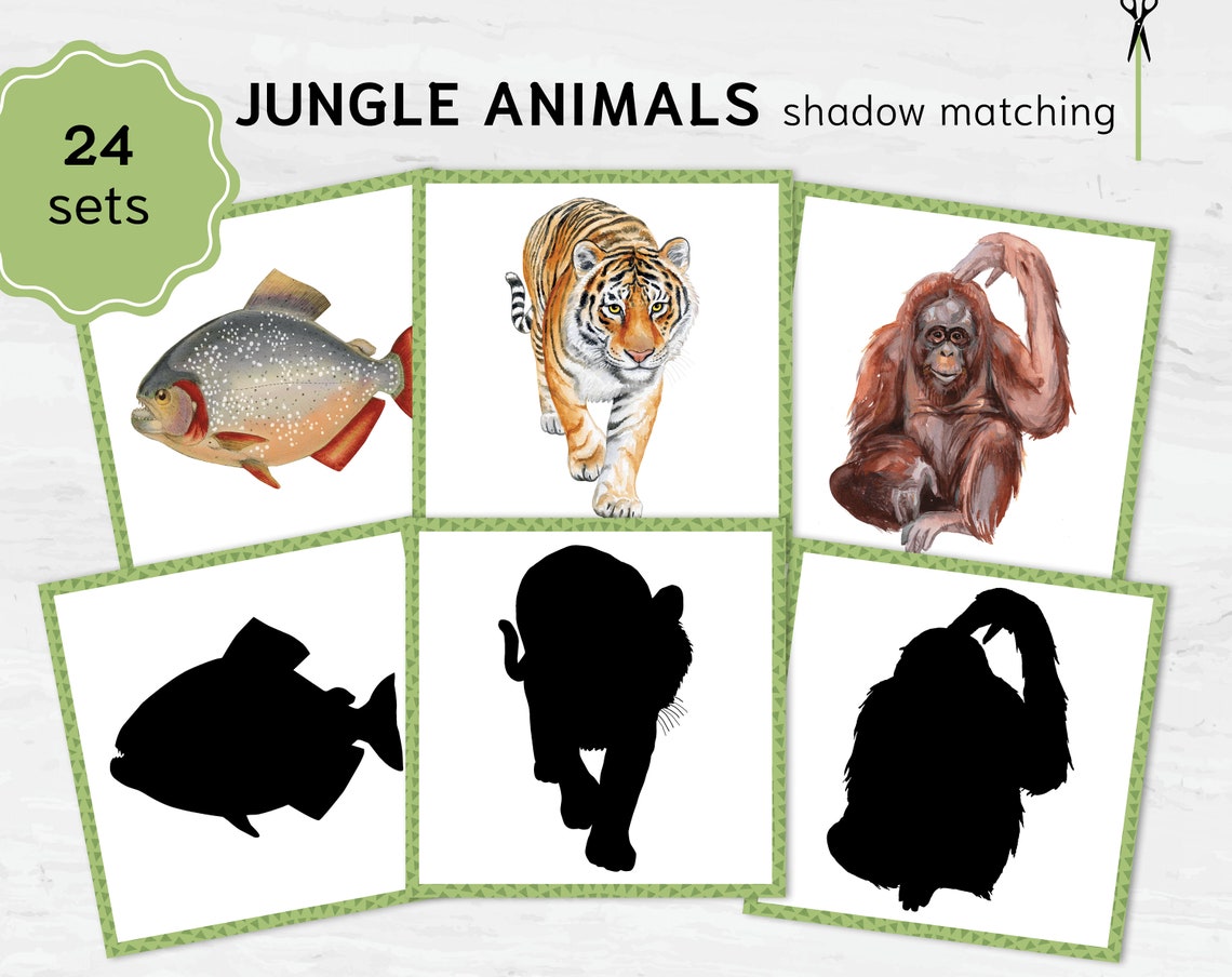 Rainforest Animal Shadow Matching: Jungle Montessori Match Activity ...