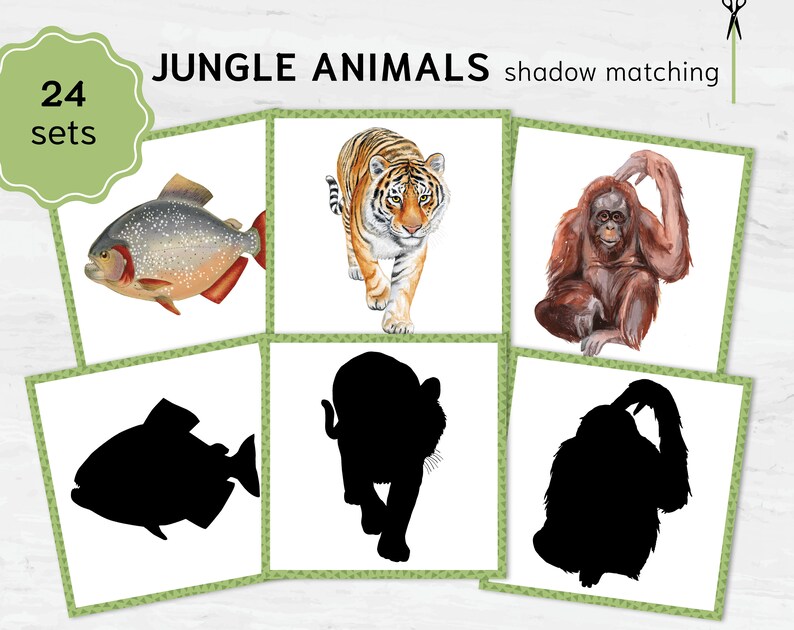 Rainforest Animal Shadow Matching: Jungle Montessori Match Activity ...