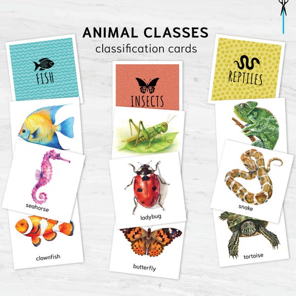 Science Animal Posters - Etsy UK