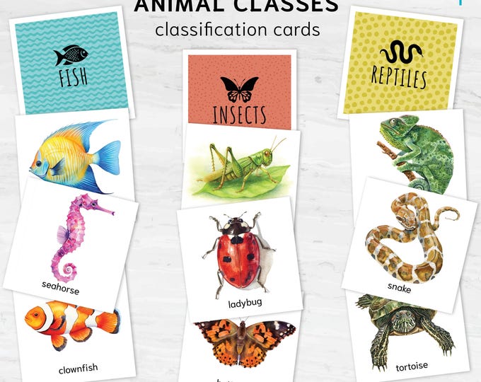 Animal Classification Sorting Cards. Printable Montessori Science Study ...