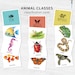 Animal Classification Sorting Cards. Printable Montessori Science Study ...