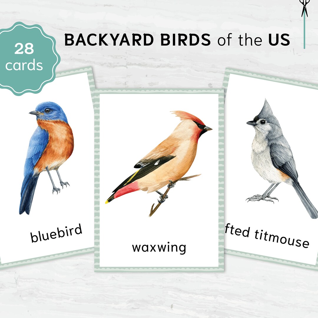 Backyard Birds Printable Flashcards - Montessori Educational Materials ...