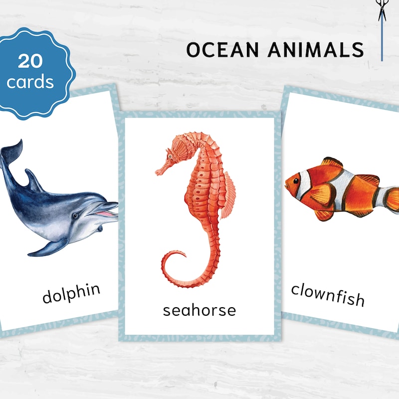 Sea Creature Cards - Etsy Canada