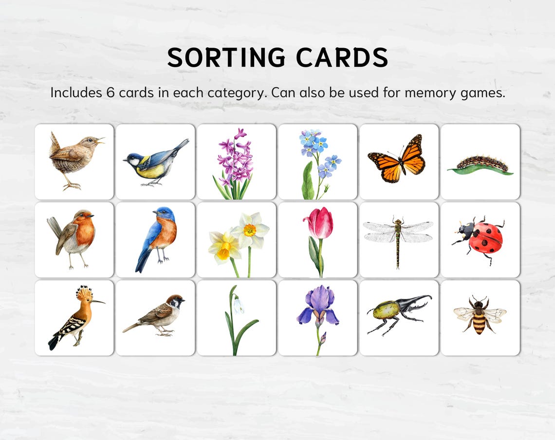 Spring Sorting Game: Montessori Math, Flowers, Birds, Insects ...