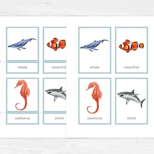 Sea Animal Flashcards for Montessori Learning - Educational Homeschool ...