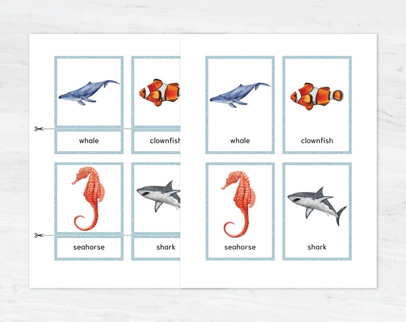 Sea Animal Flashcards for Montessori Learning - Educational Homeschool ...
