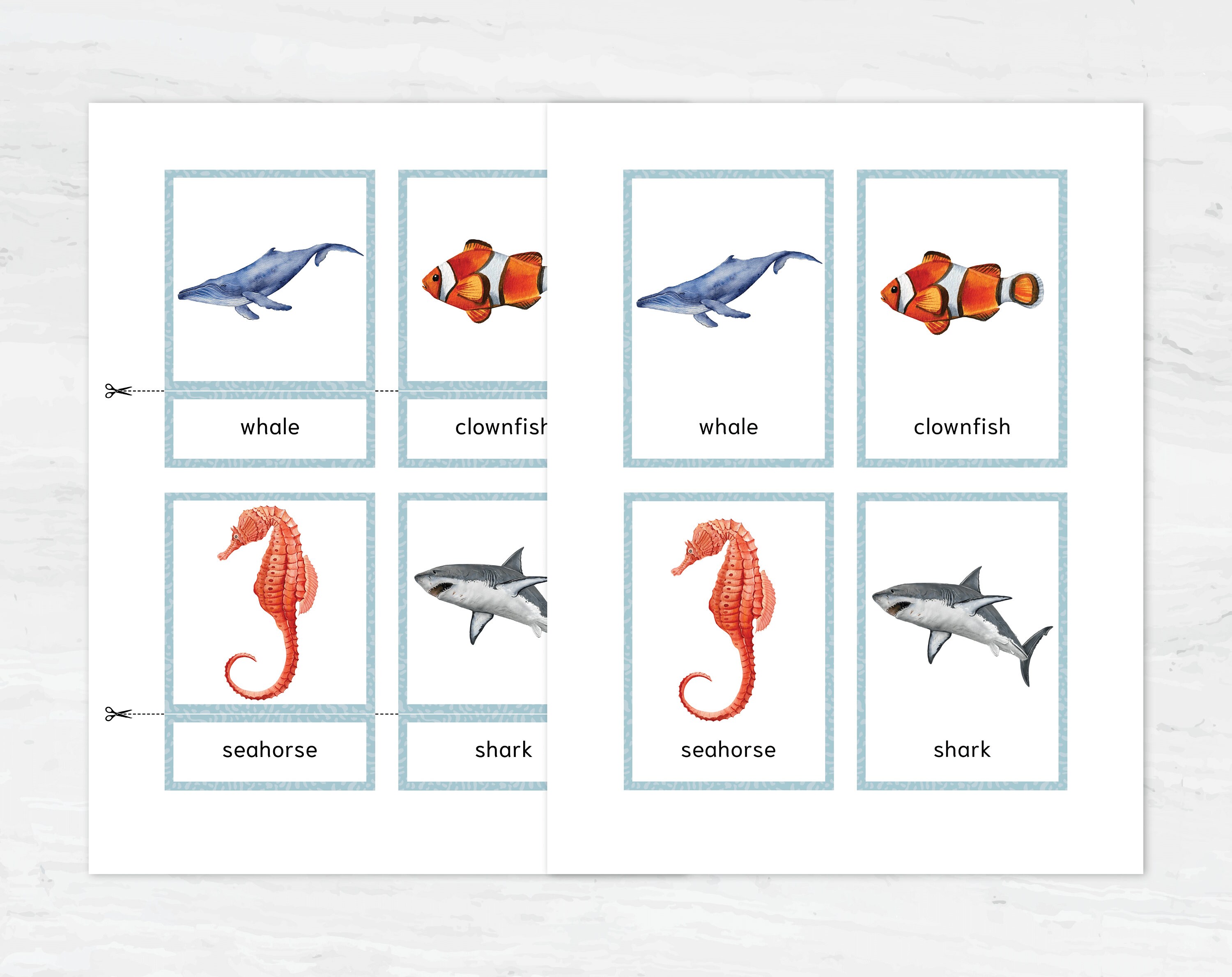 Sea Animals Flashcards for Montessori Learning Educational Homeschool ...