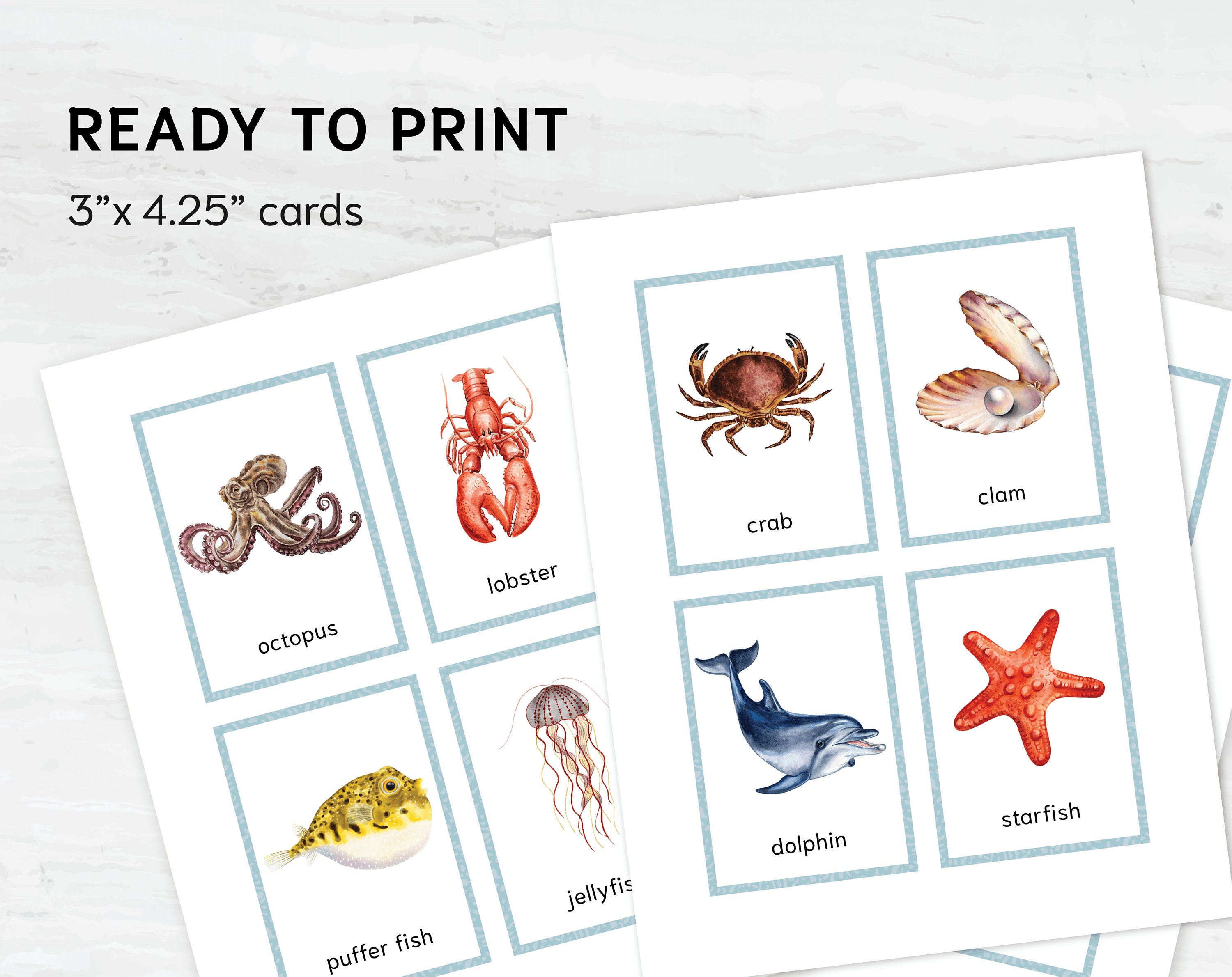 Sea Animals Flashcards for Montessori Learning Educational Homeschool ...