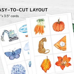 Montessori Color Sorting Matching Game: Toddler's 12-color Recognition ...