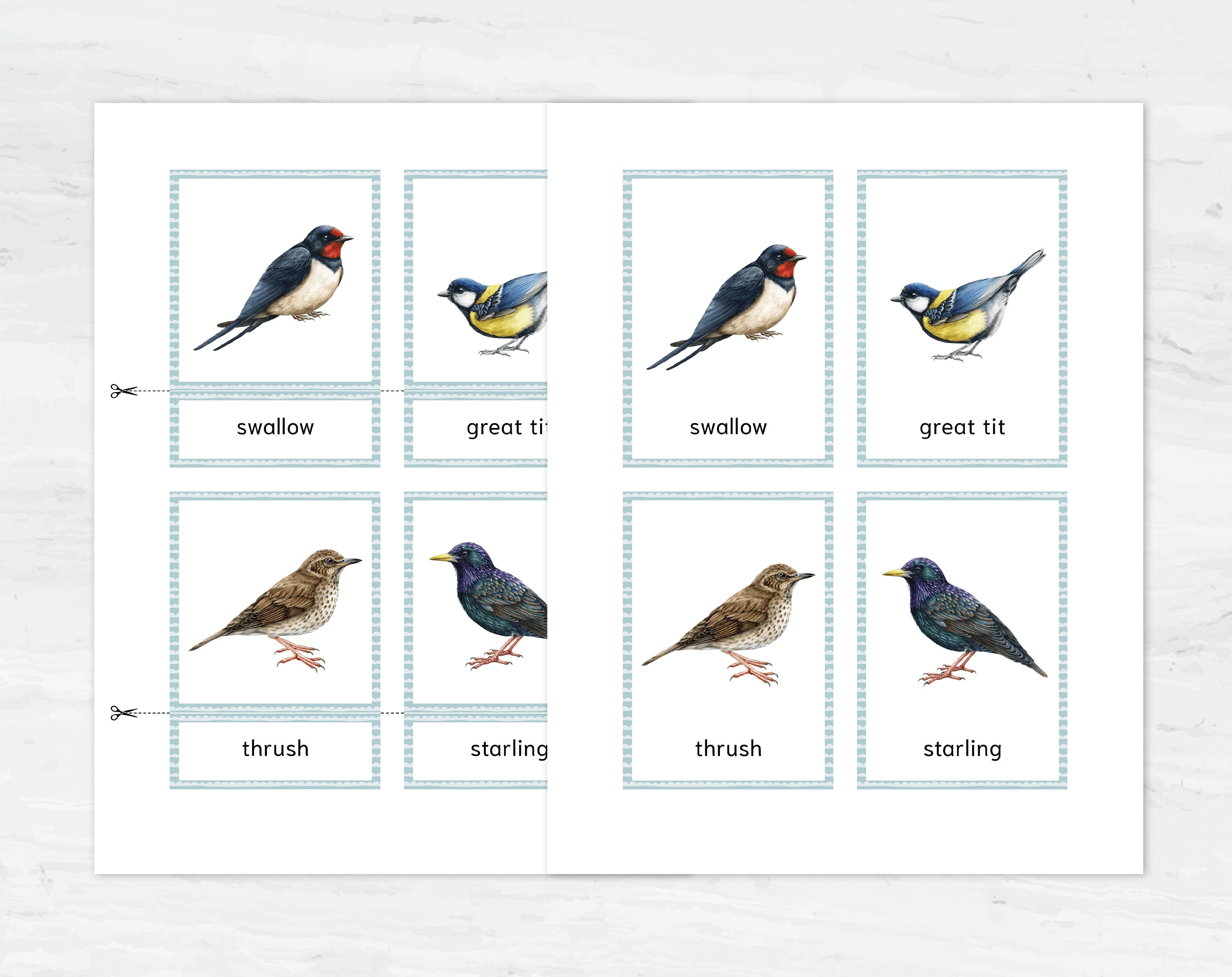 EU Birds Montessori Printable Flashcards. UK BIRDS Homeschool Materials ...