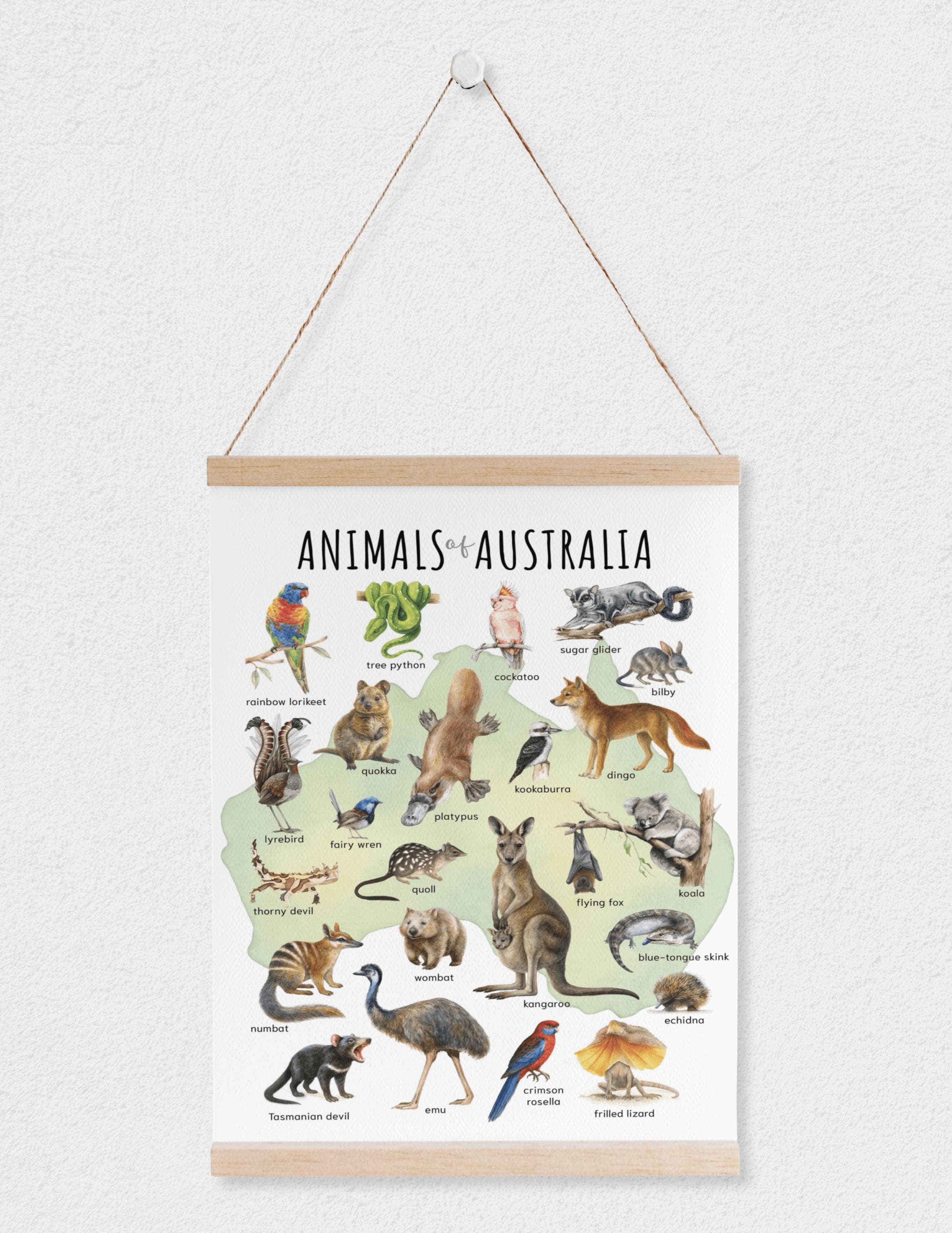 Animals of Australia Educational Poster – Watercolor Wildlife Map ...