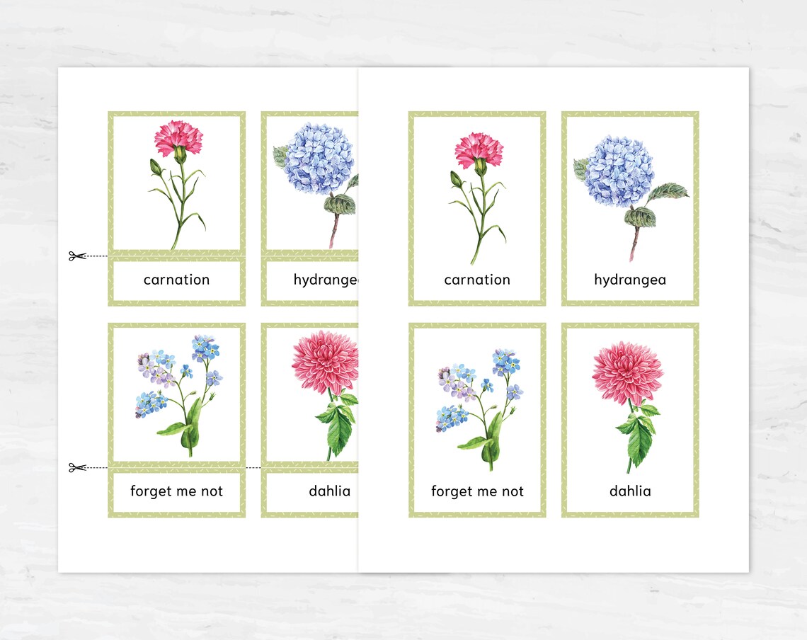 Printable Flower Flashcards - Montessori Educational Homeschooling ...