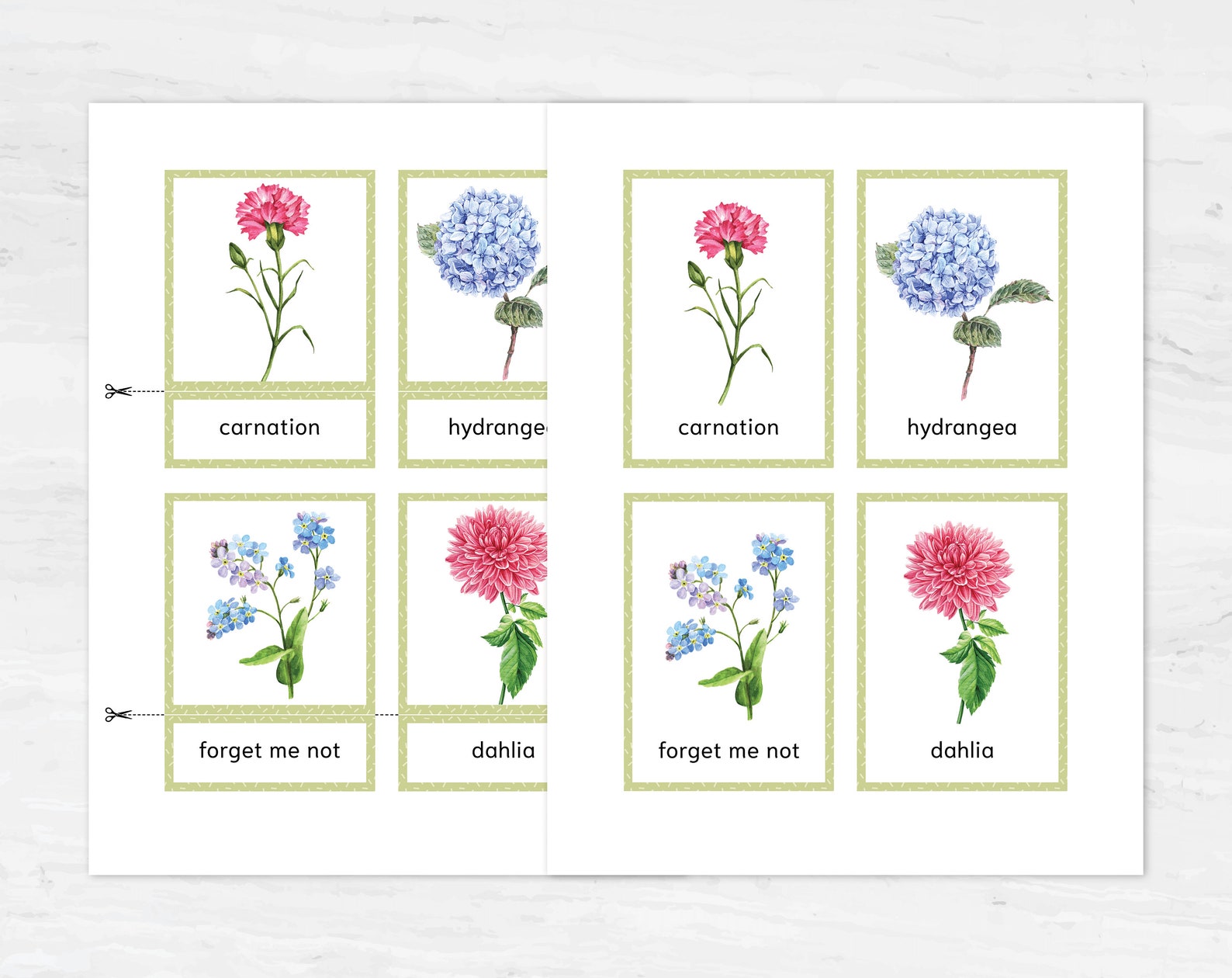 Printable Flower Flashcards - Montessori Educational Homeschooling ...