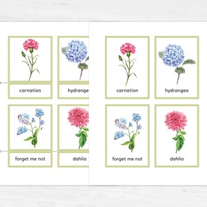 Printable Flower Flashcards - Montessori Educational Homeschooling ...