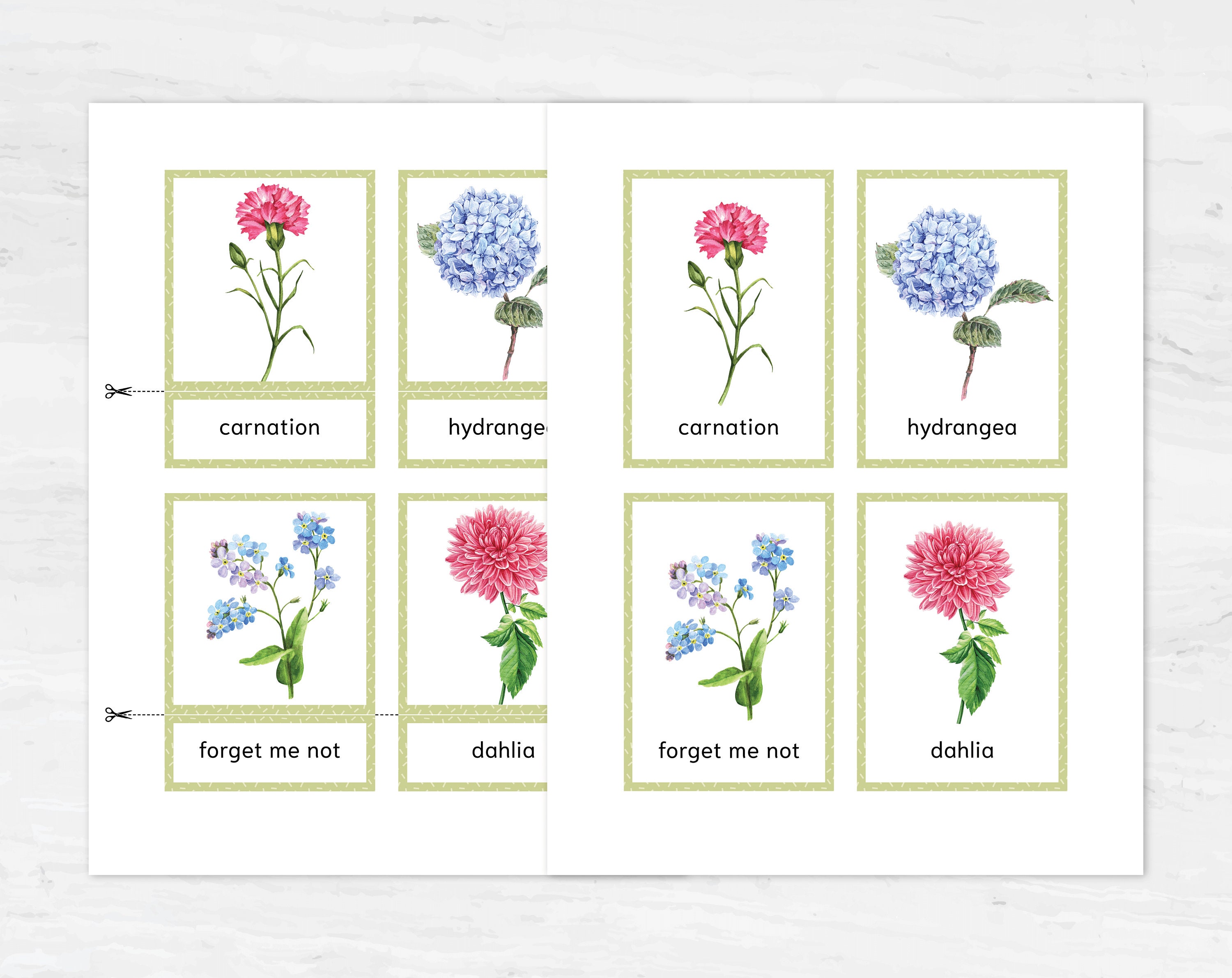 Printable Flower Flashcards - Montessori Educational Homeschooling ...