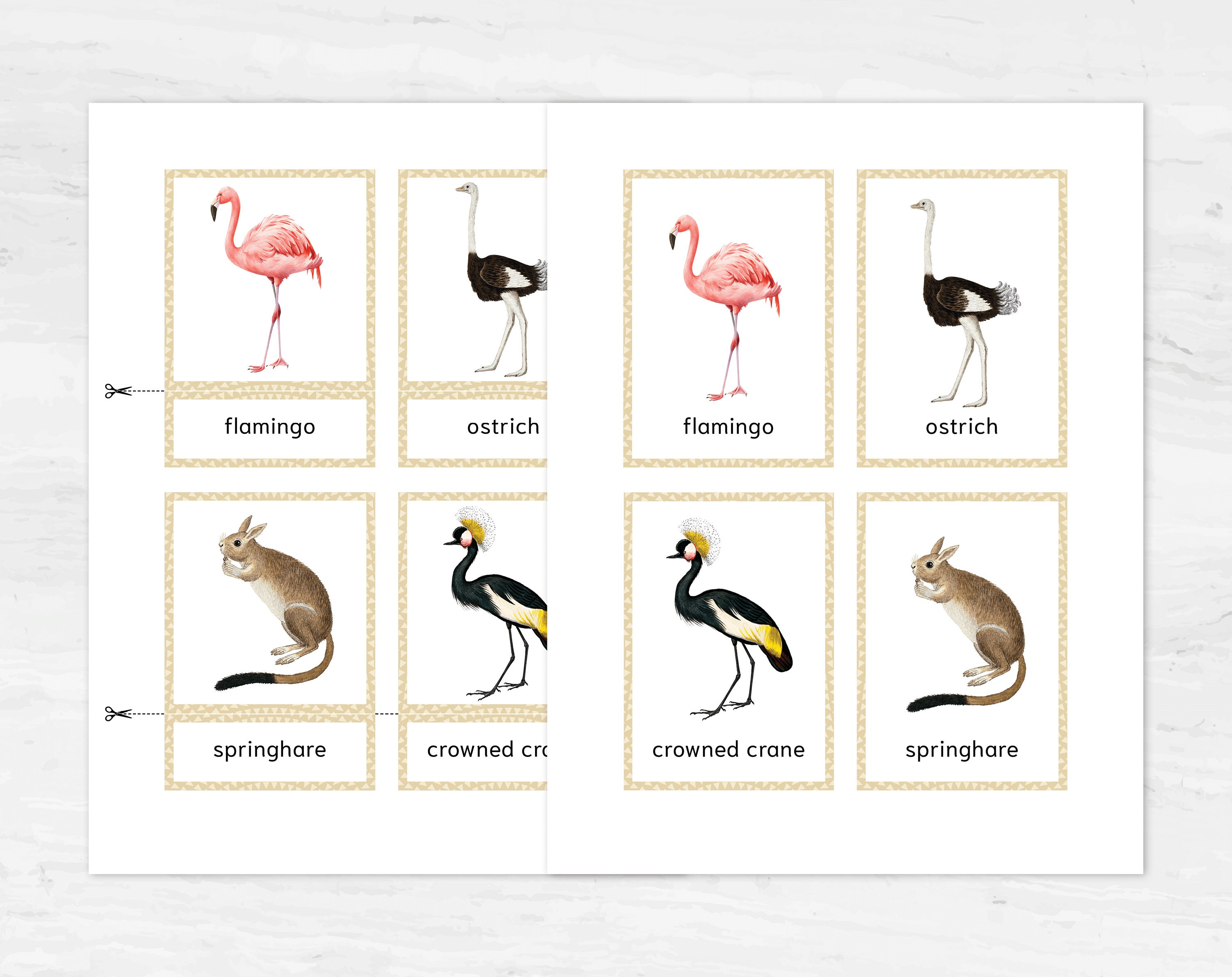 Colorful Australian Animals Flashcards for Montessori Education ...