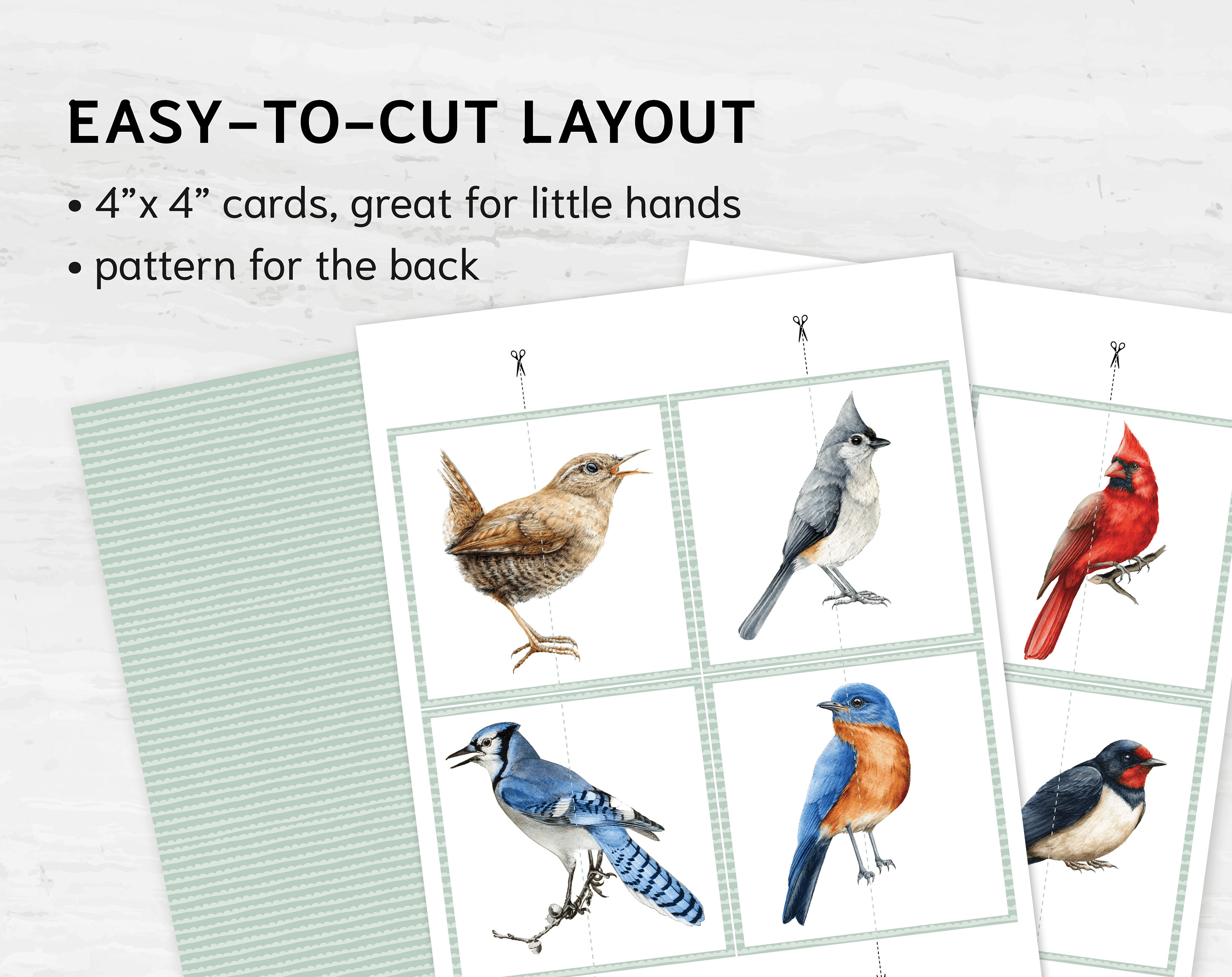 Beak & Tail: Bird Halves Matching Game for Toddlers. - Etsy