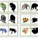 Rainforest Animal Shadow Matching: Jungle Montessori Match Activity ...