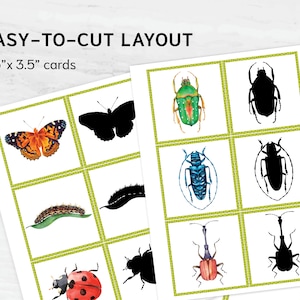 Insects Shadow Matching Cards. Montessori-based Bugs Learning Activity ...