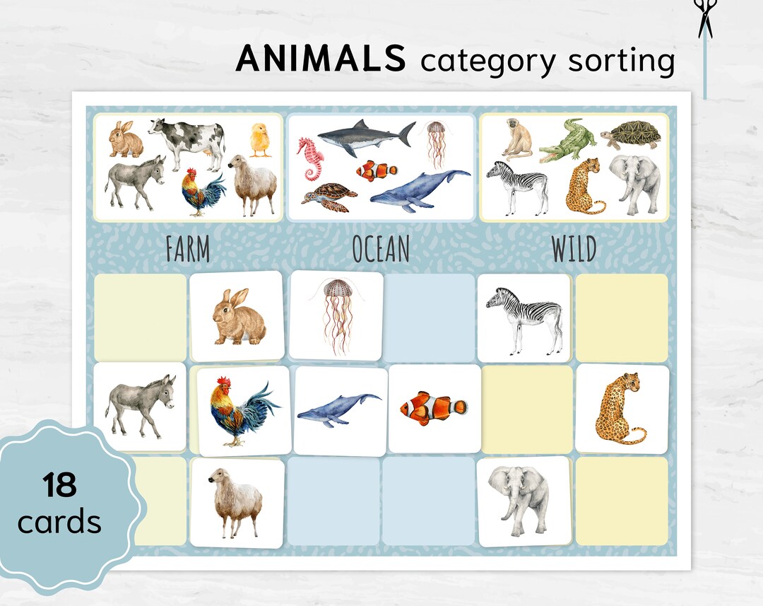 Animal Category Sorting Activity | Printable Learning Tool & Early ...