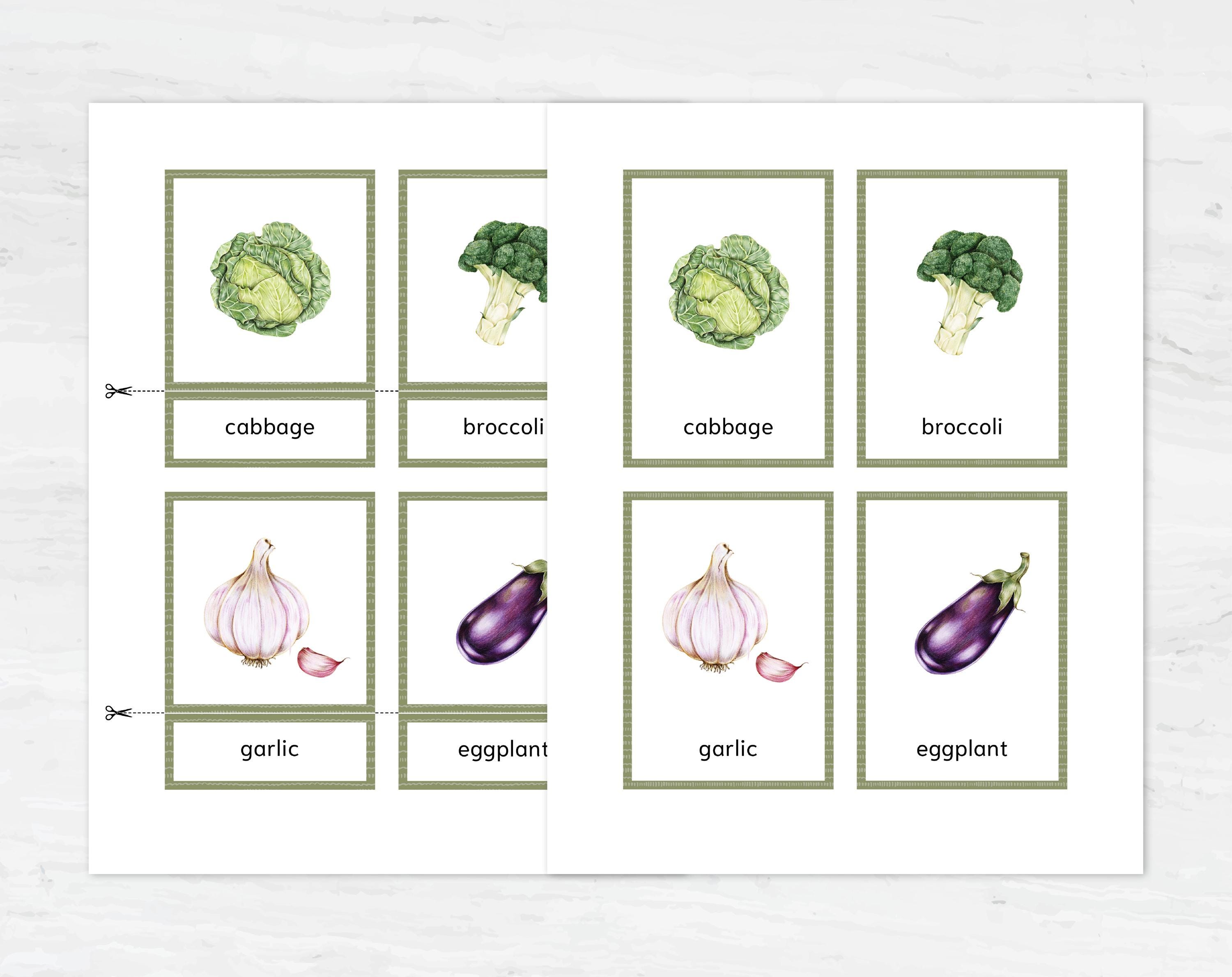 Montessori Vegetable Flashcards - Printable Vocabulary Cards for ...