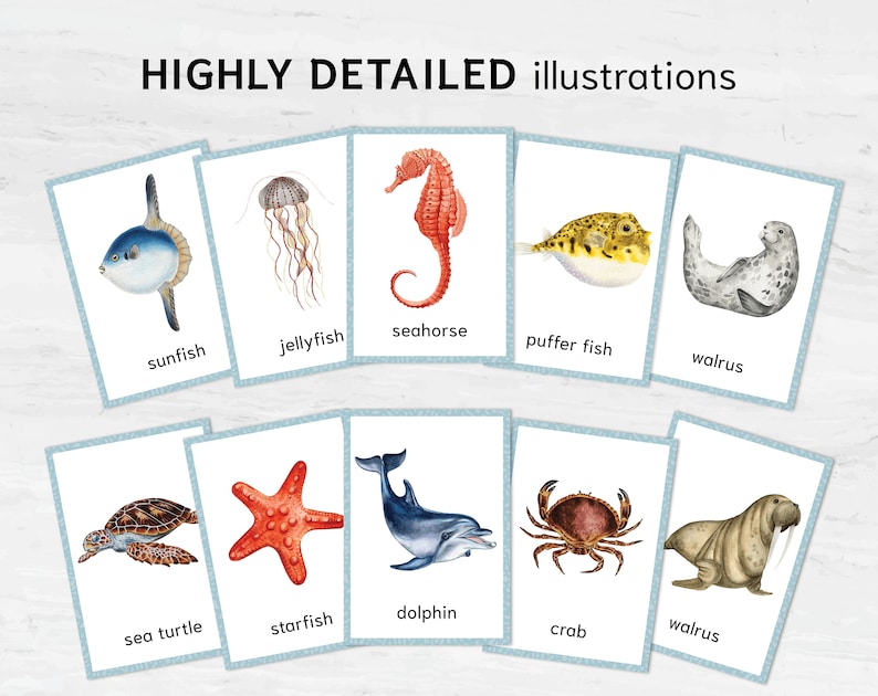 Sea Animals Flashcards for Montessori Learning Educational Homeschool ...