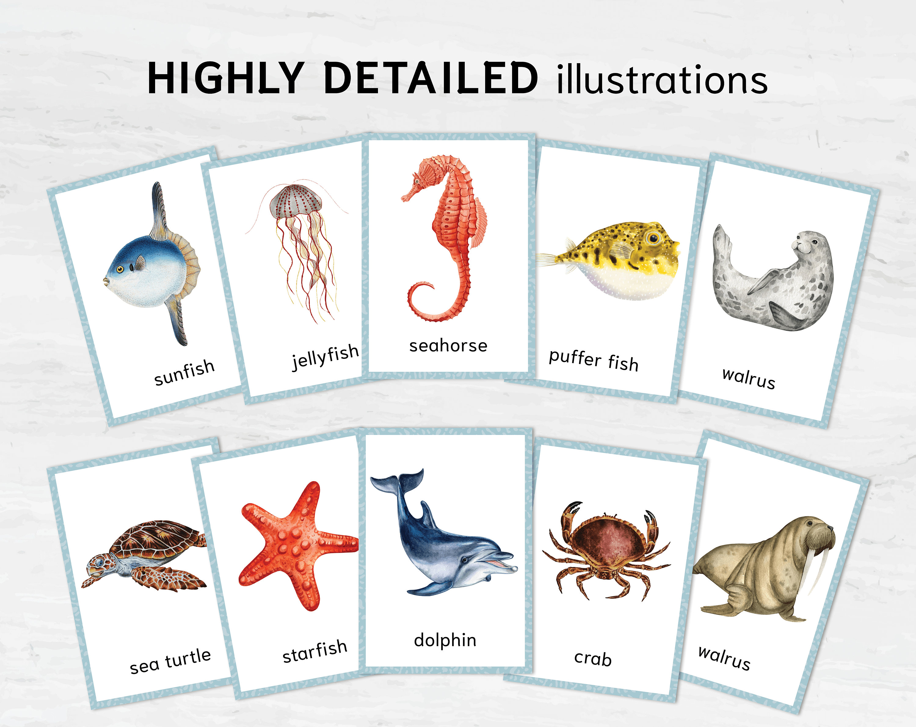 Sea Animals Flashcards for Montessori Learning Educational Homeschool ...