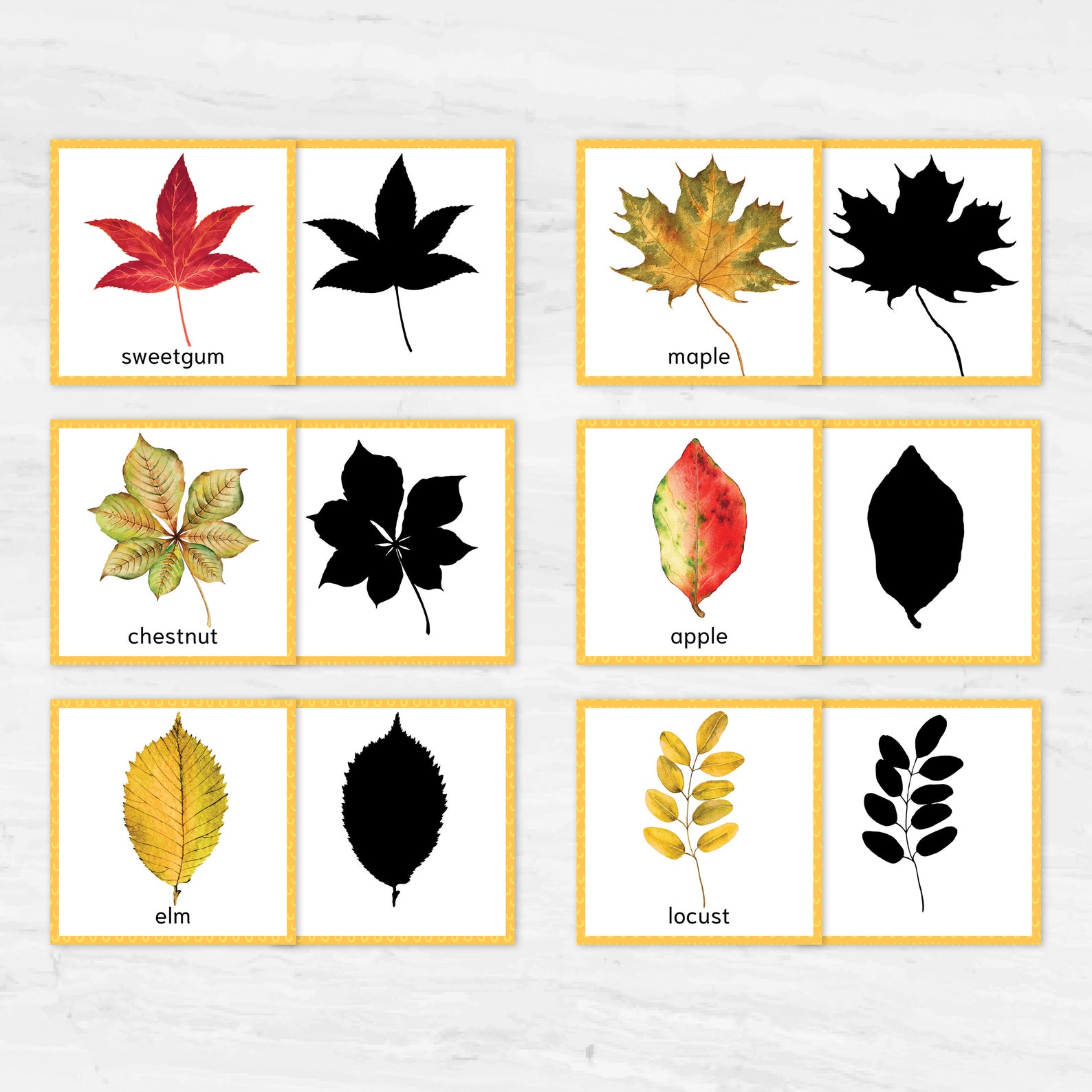 Autumn Leaves Shadow Matching Cards. Montessori-based Leaf - Etsy