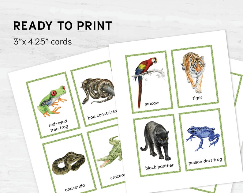 JUNGLE Animals Printable Flashcards. Montessori Homeschool Supplies ...