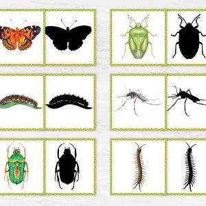 Insects Shadow Matching Cards. Montessori-based Bugs Learning Activity ...