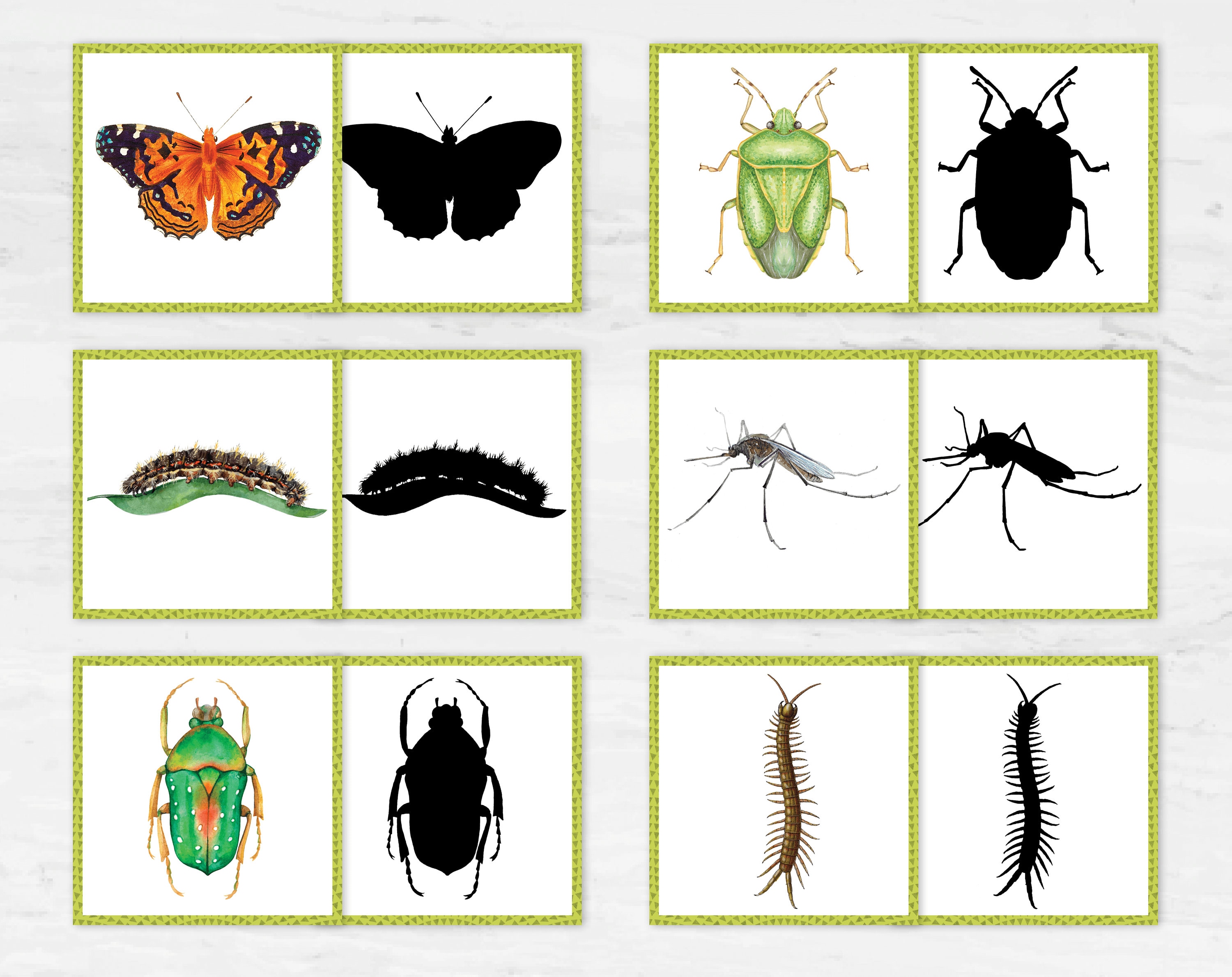 Insects Shadow Matching Cards. Montessori-based Bugs Learning Activity ...